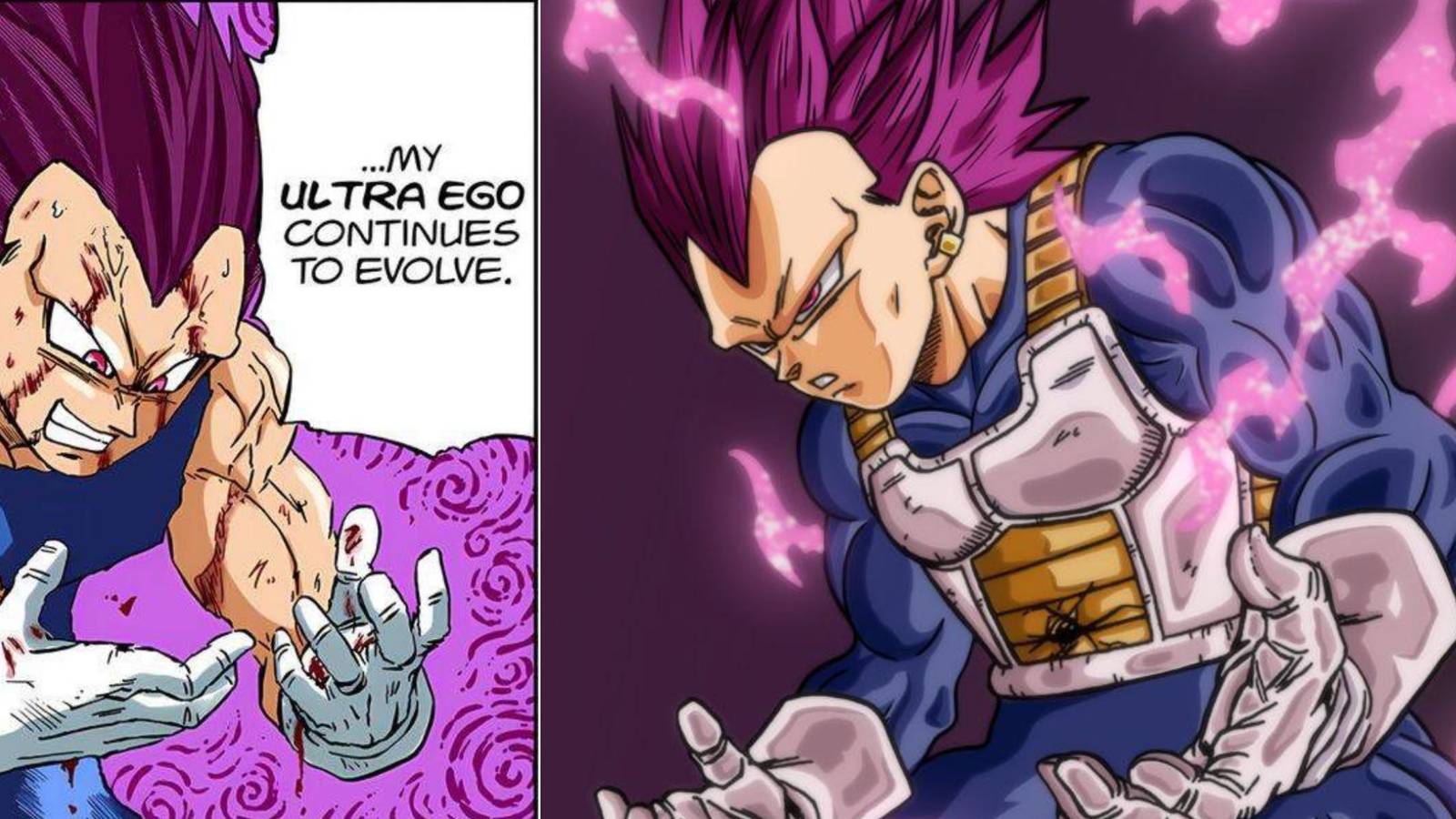 Dragon Ball: Mastered Ultra Ego, Explained