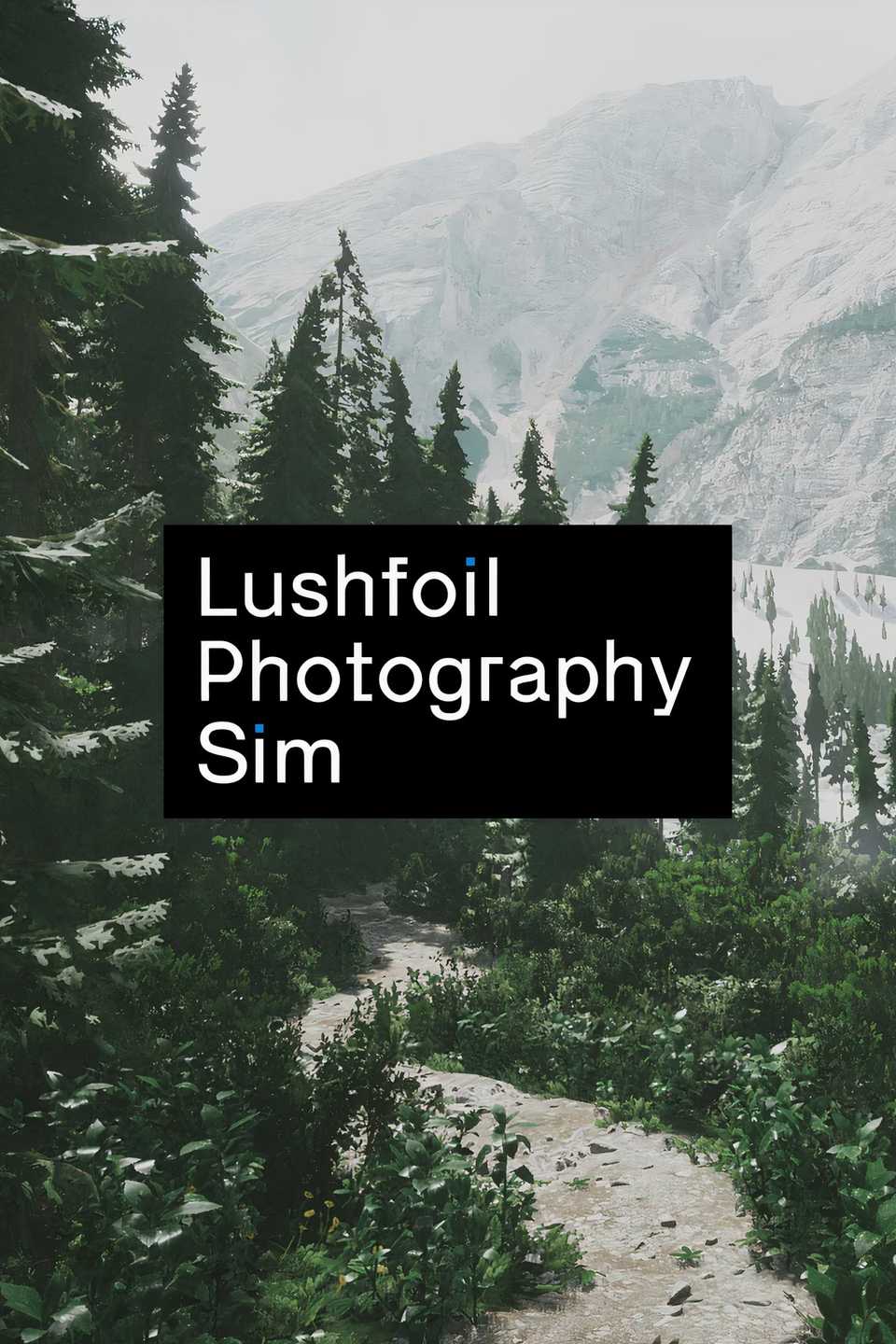 Lushfoil Photography Sim Modes of Transport Explained