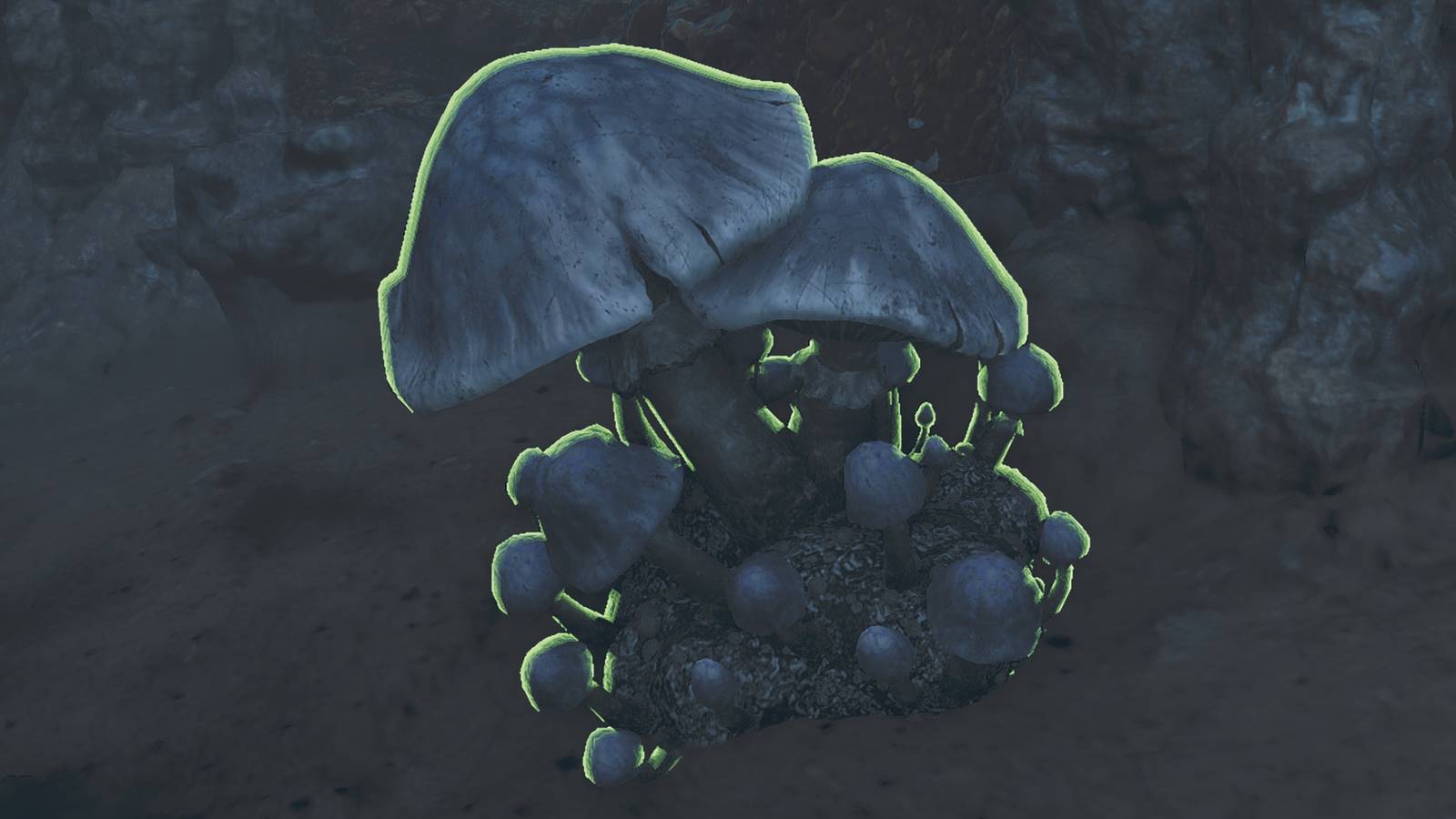 Chillshroom Locations in Monster Hunter Wilds: