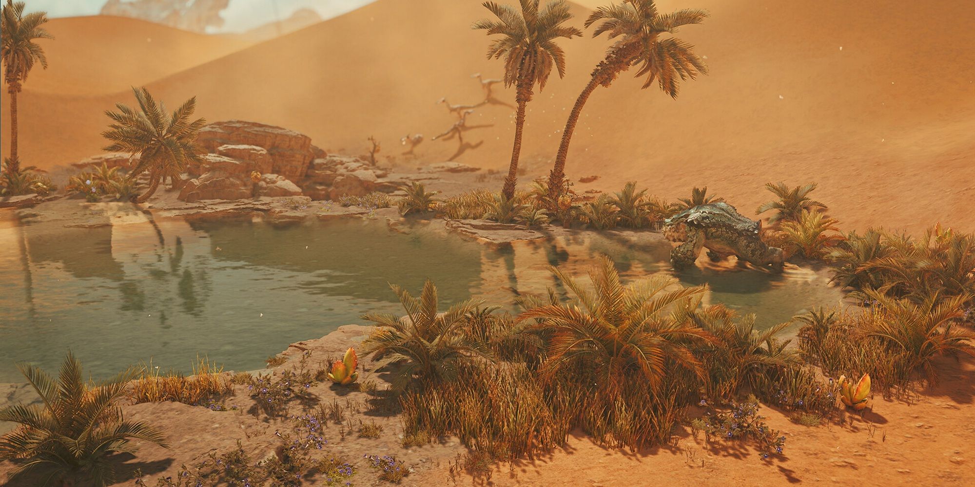 Alinity Will Be Returning to Twitch Soon