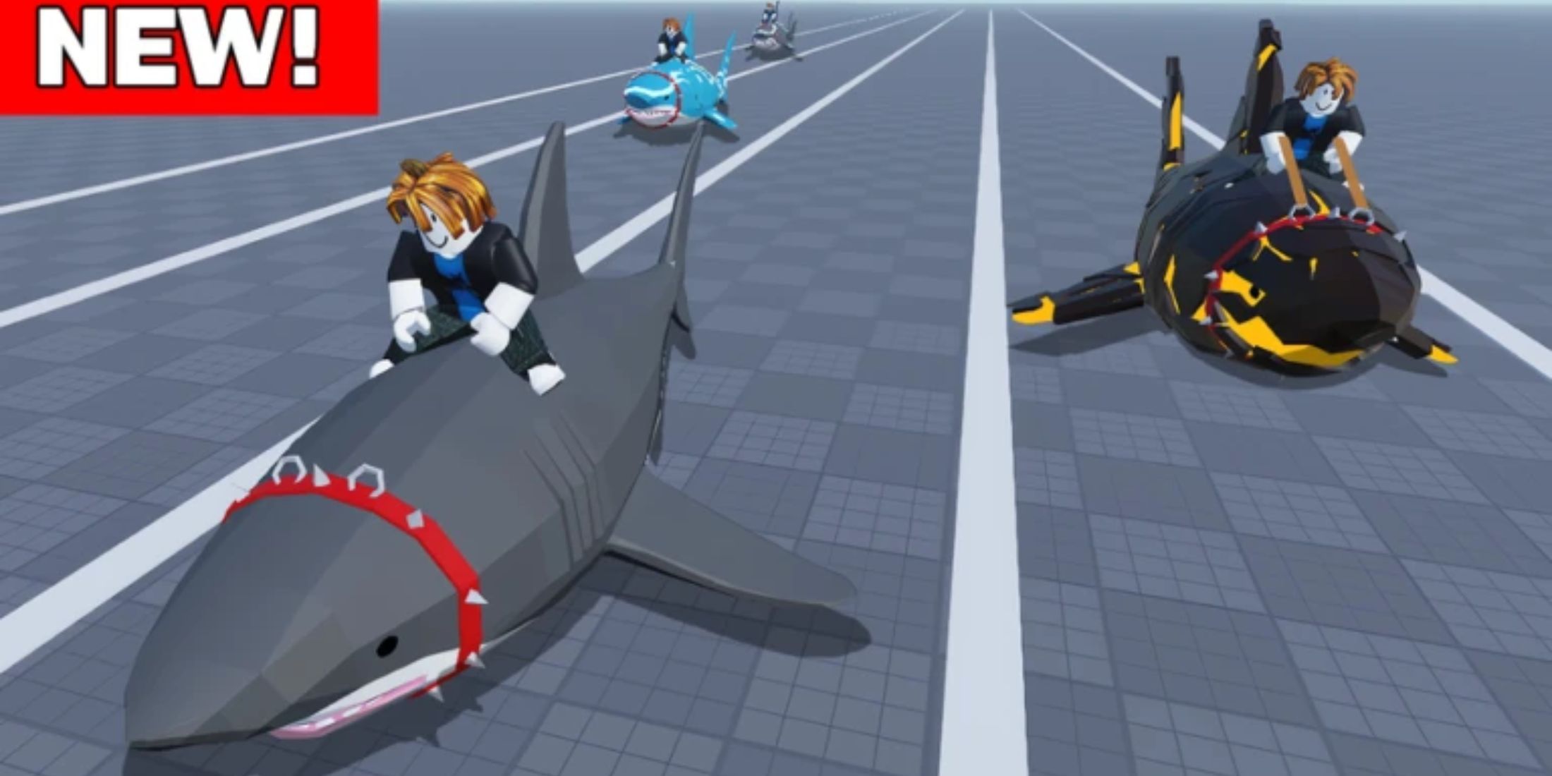 Roblox: Shark Dash Racing Codes
