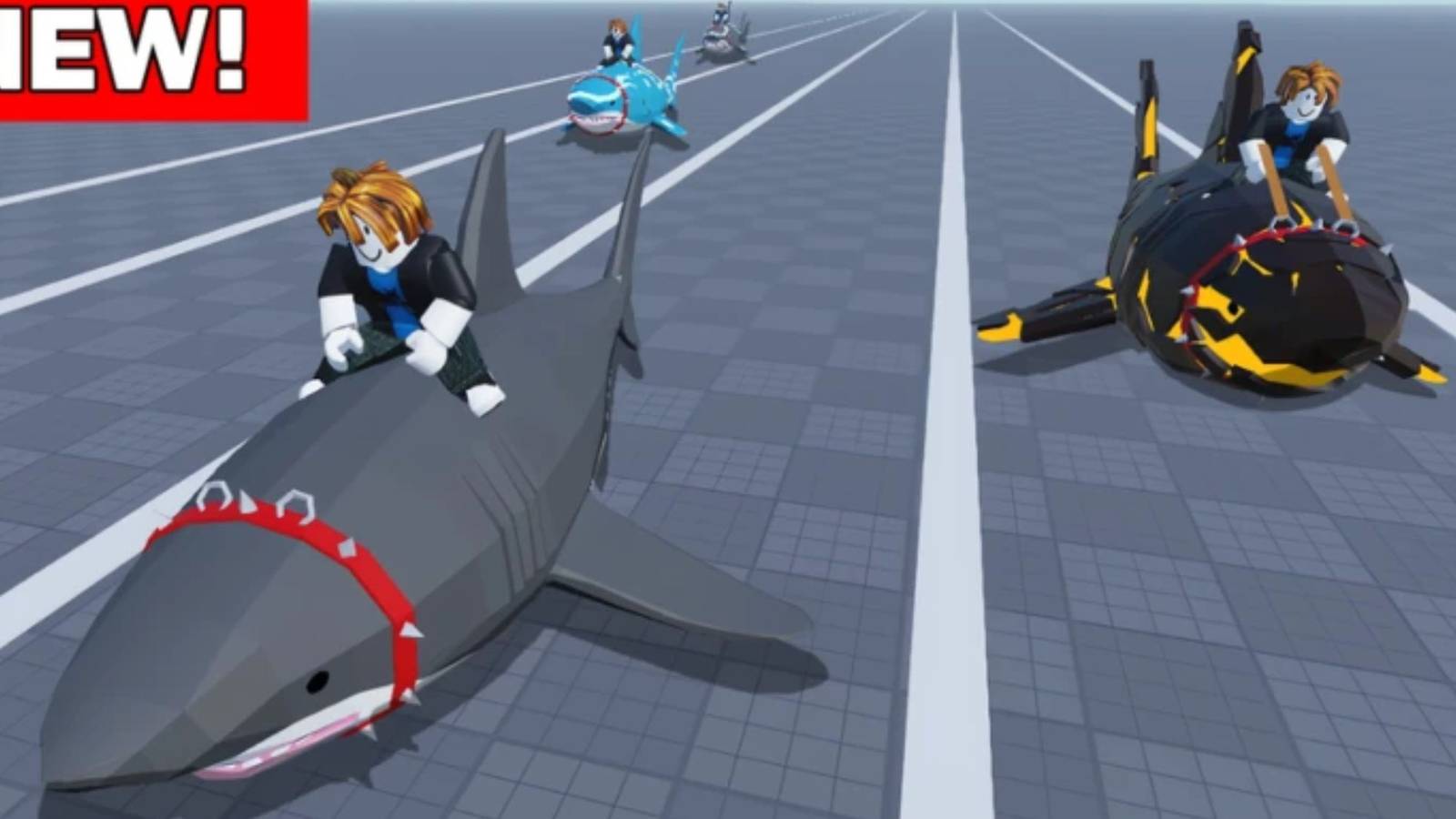 Roblox: Shark Dash Racing Codes