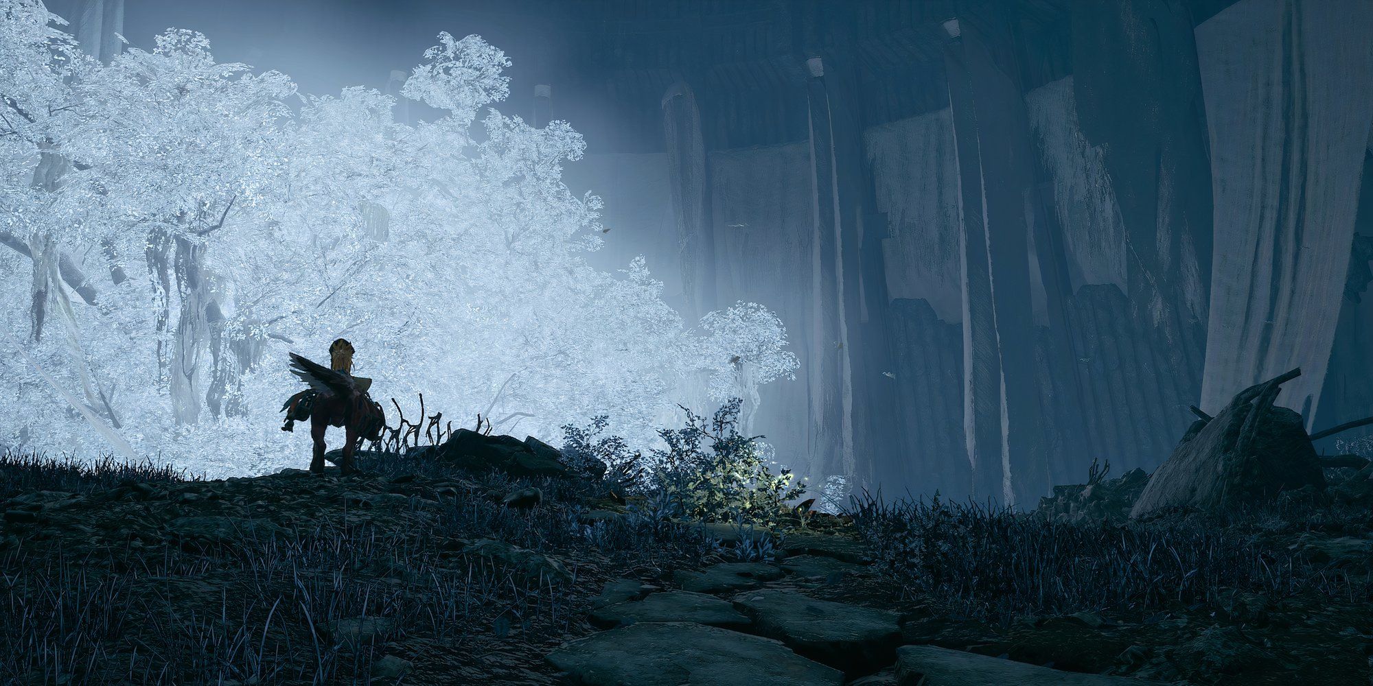 Every Biome In Monster Hunter Wilds