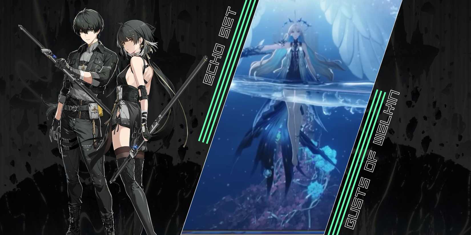 Aero Rover Best Build in WuWa