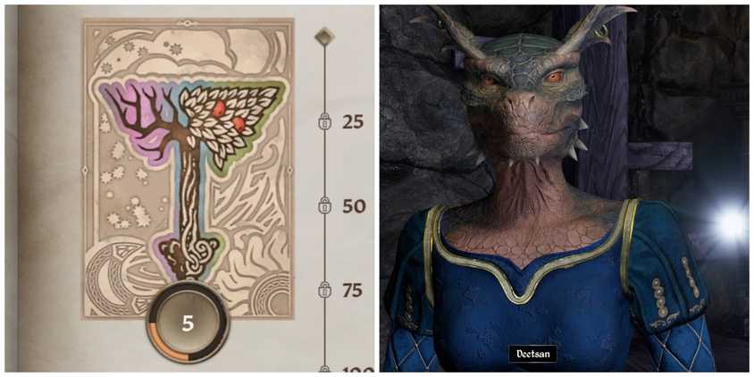 How To Get Escutcheon of Chorrol Shield In Oblivion Remastered