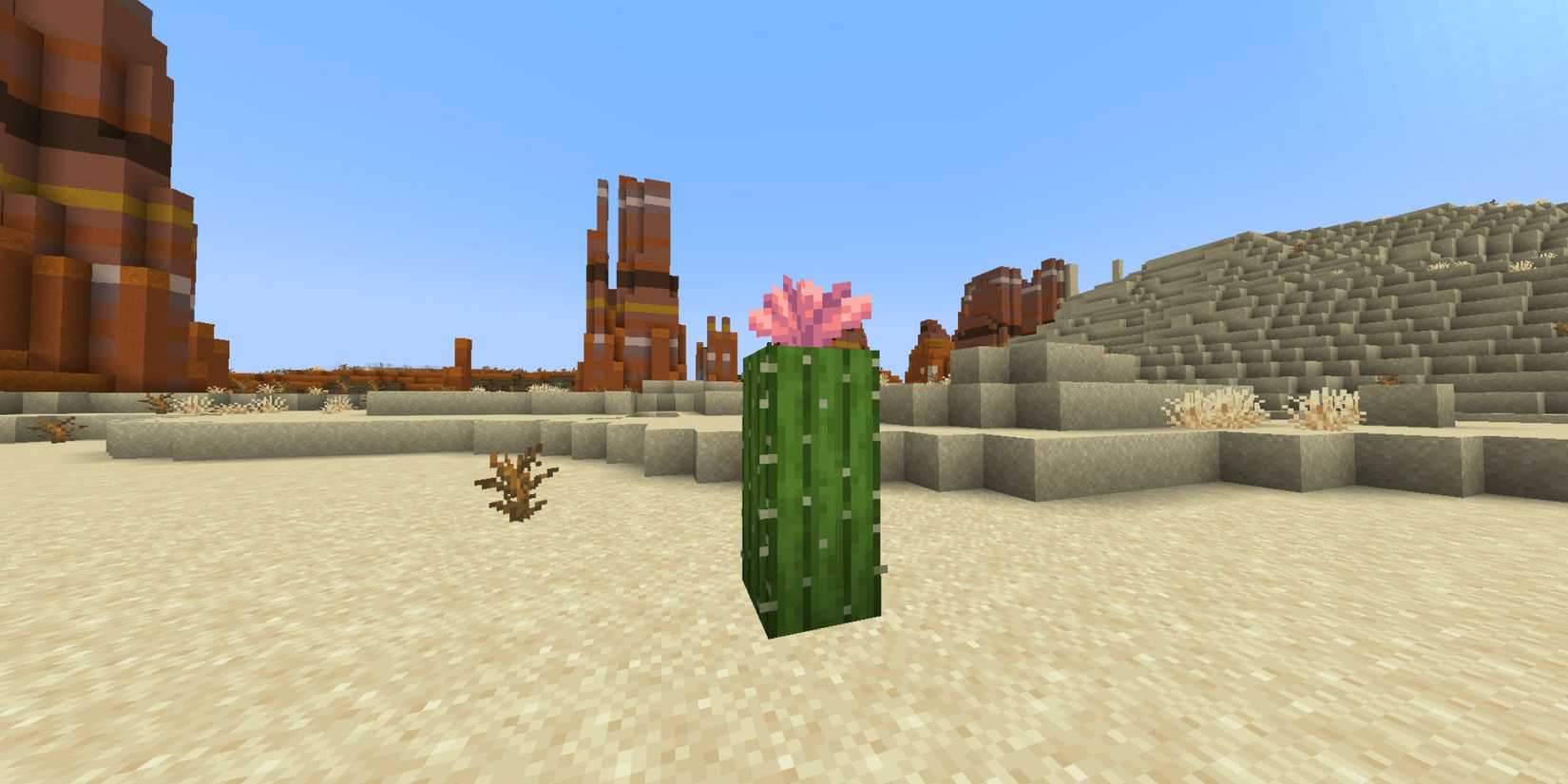 Minecraft: How to Get and Use Cactus Flowers