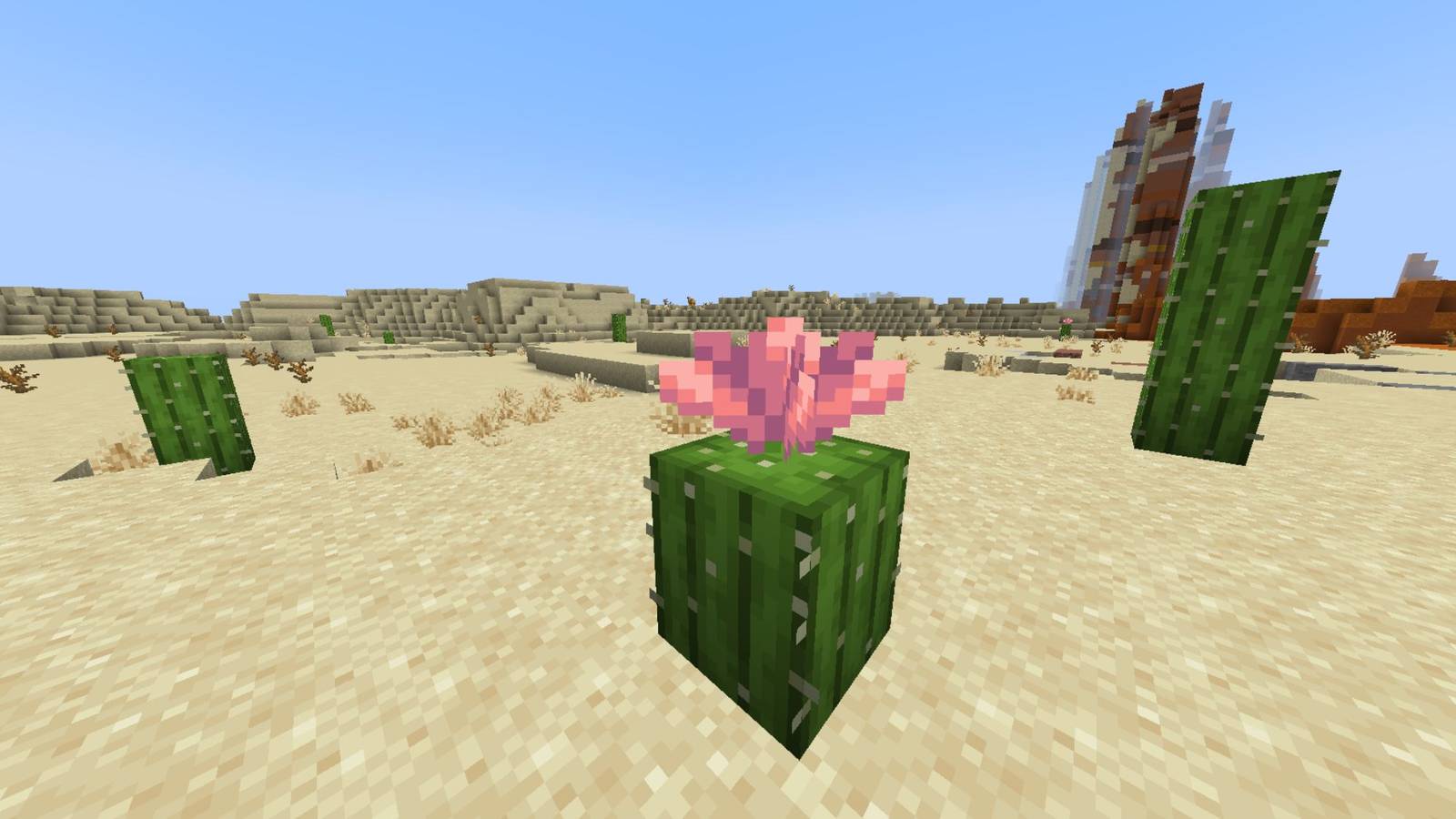Minecraft: How to Get and Use Cactus Flowers