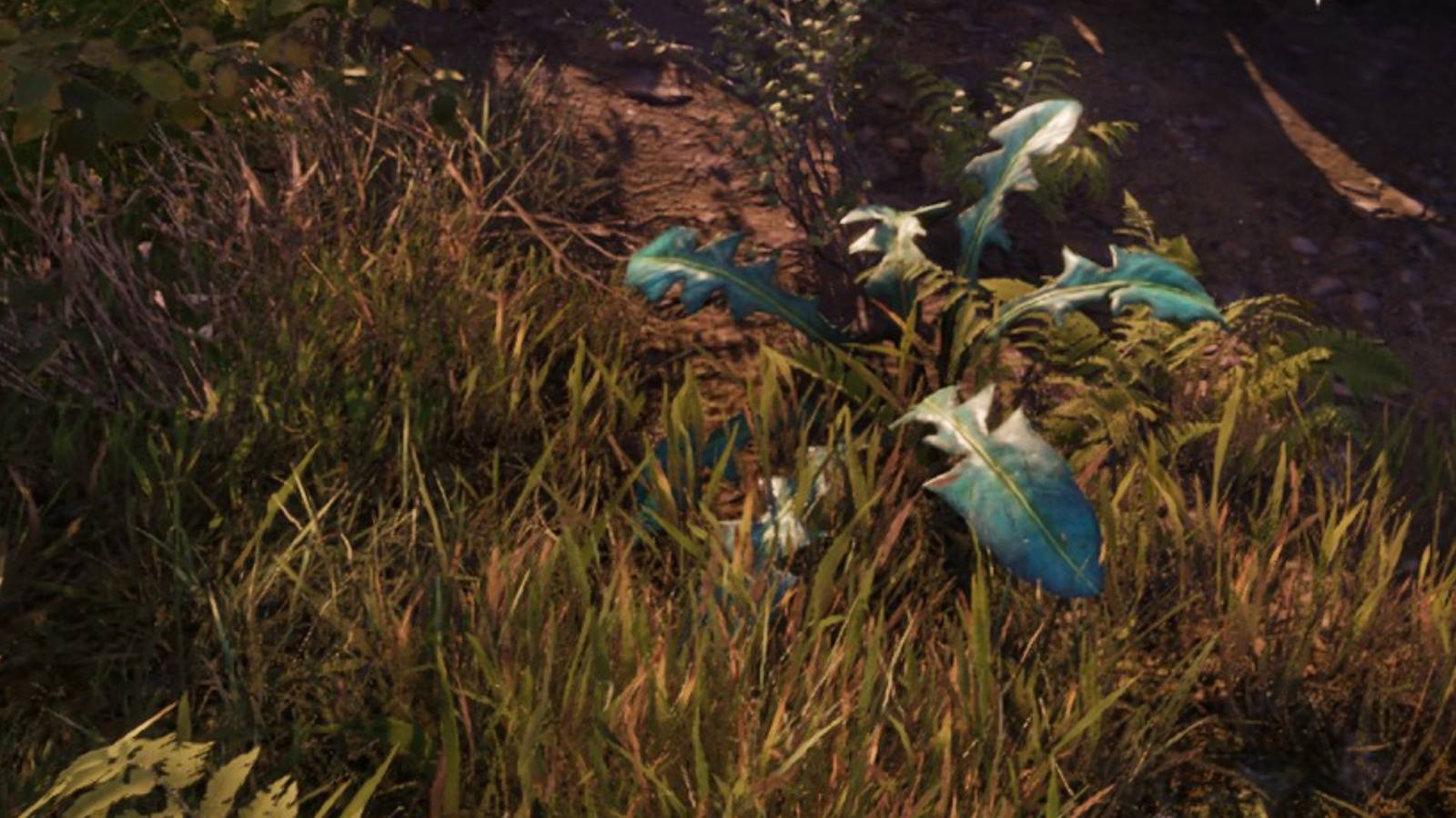 Where To Find Nirnroot Oblivion Remastered