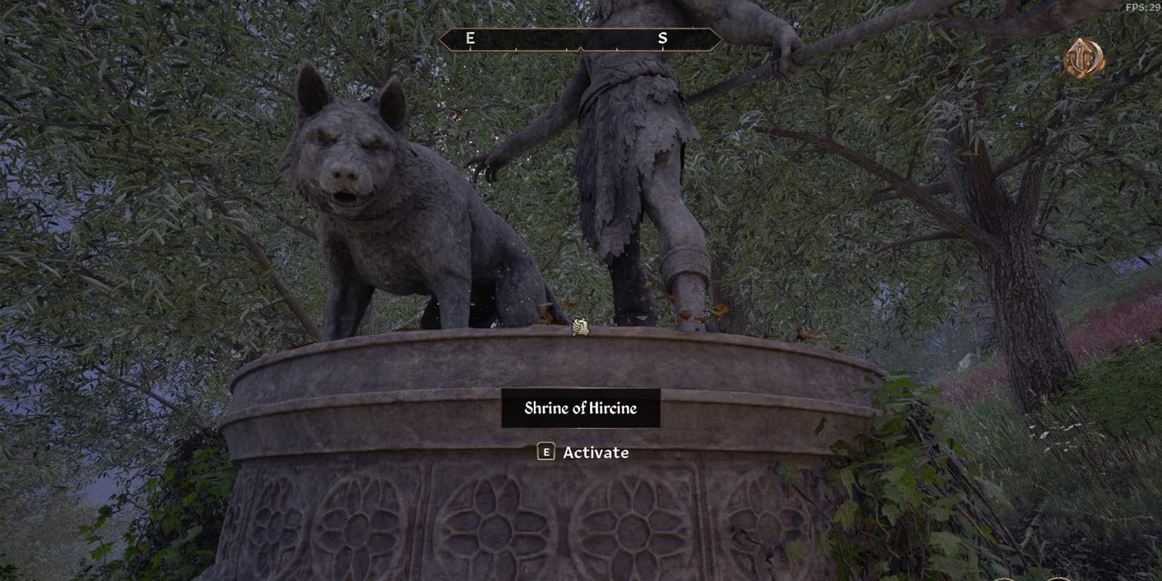 How To Get Bear And Wolf Pelts In Oblivion Remastered