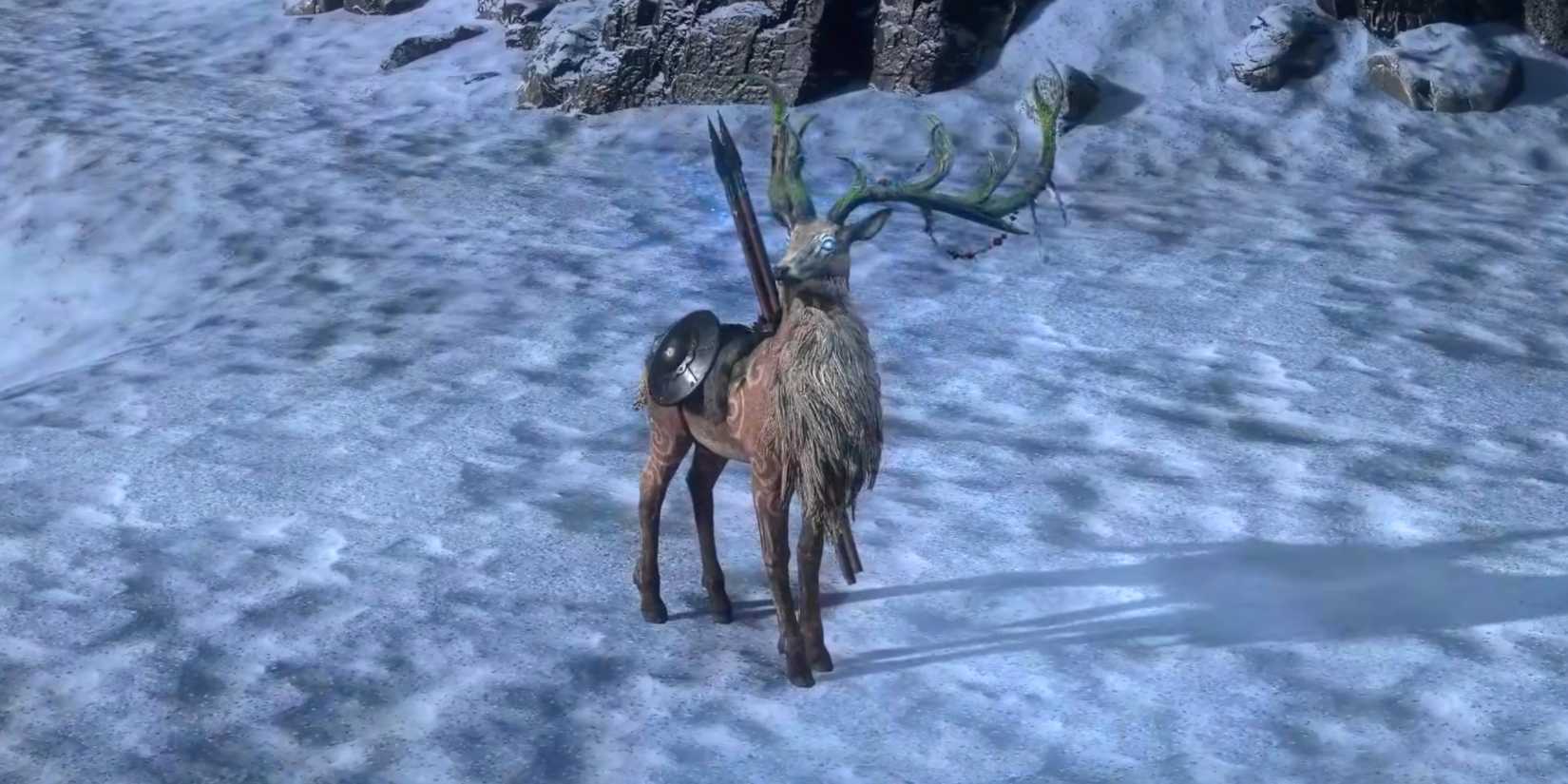 How To Claim PoE 2: Dawn of the Hunt Twitch Drops