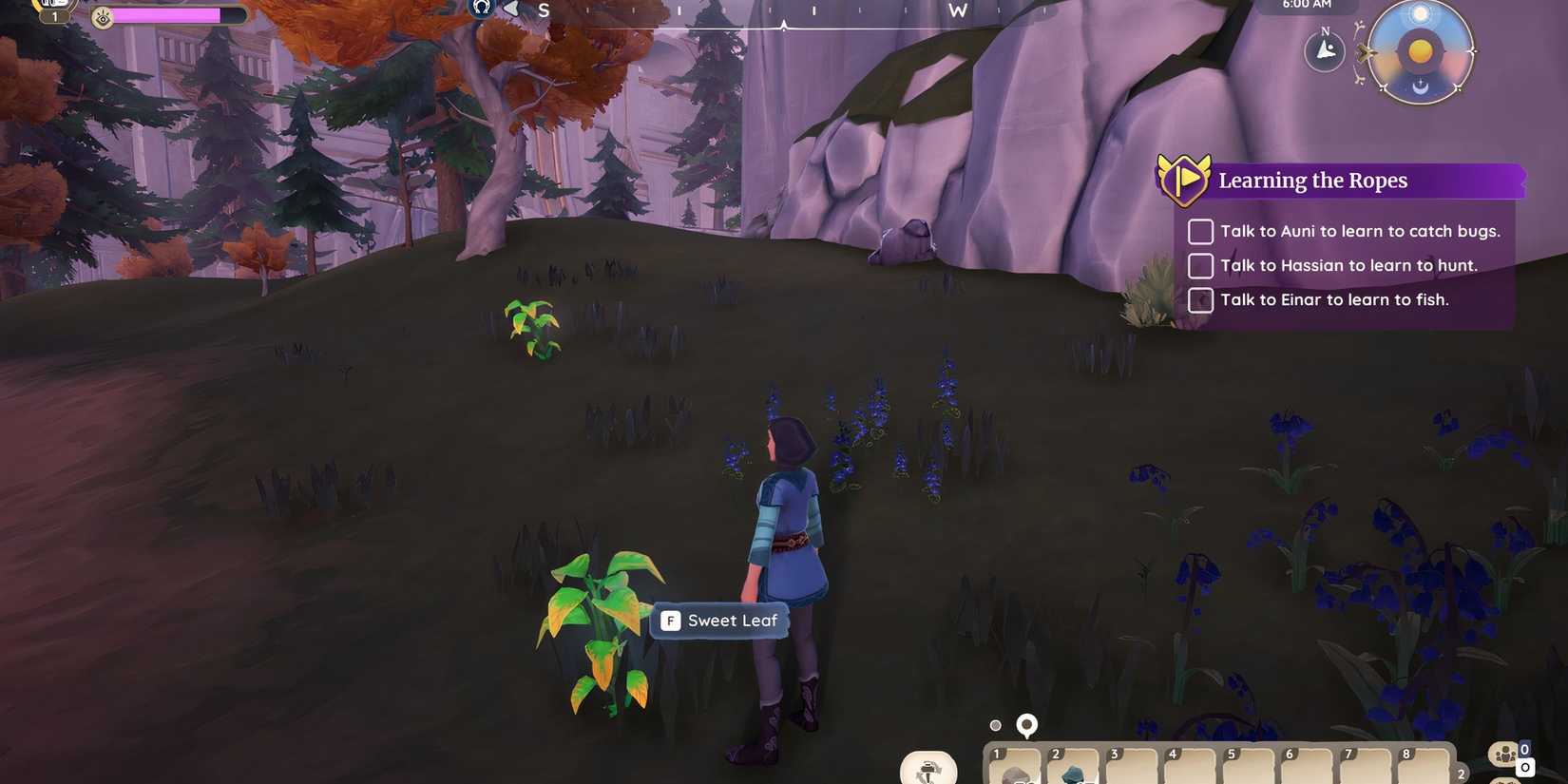 Palia: Where to Find Sweet Leaf