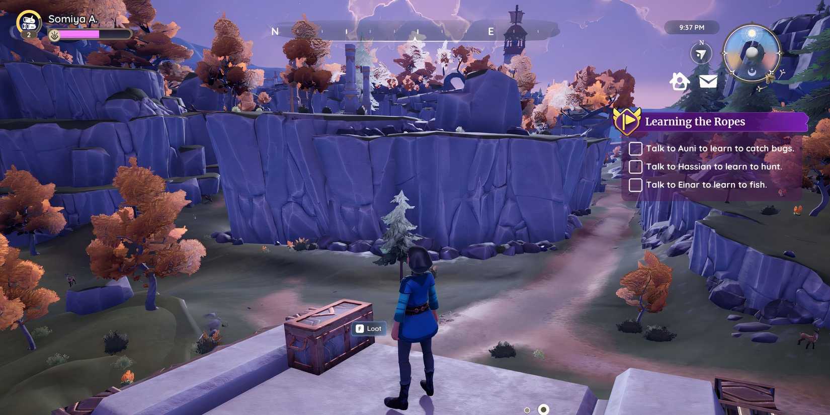 Palia: Where to Find Sweet Leaf