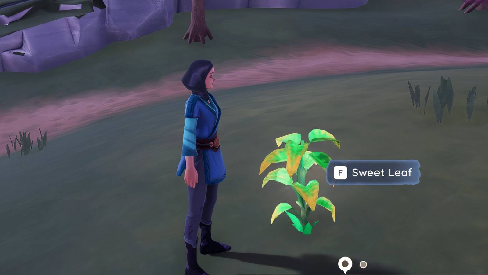 Palia: Where to Find Sweet Leaf