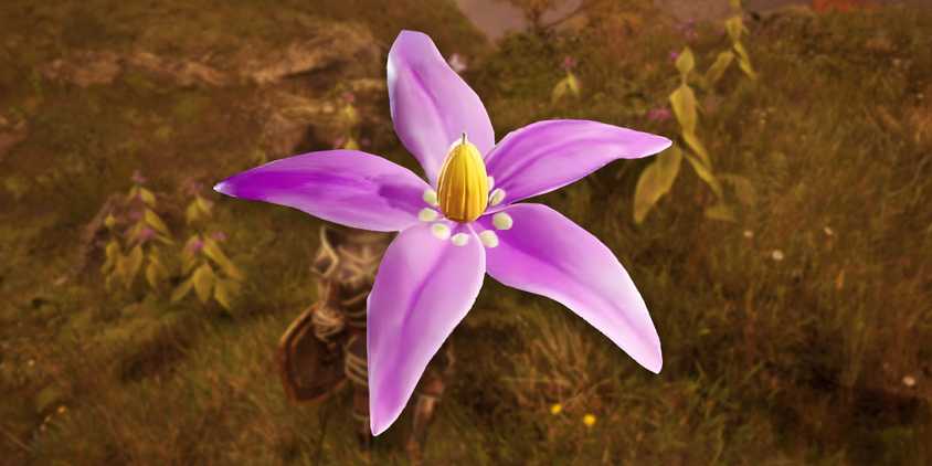 Oblivion Remastered: All Rune Stones & Where to Find Them