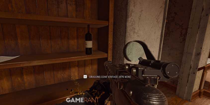 How To Complete The Lost Lion Cub Grave Digging Easter Egg in Warzone