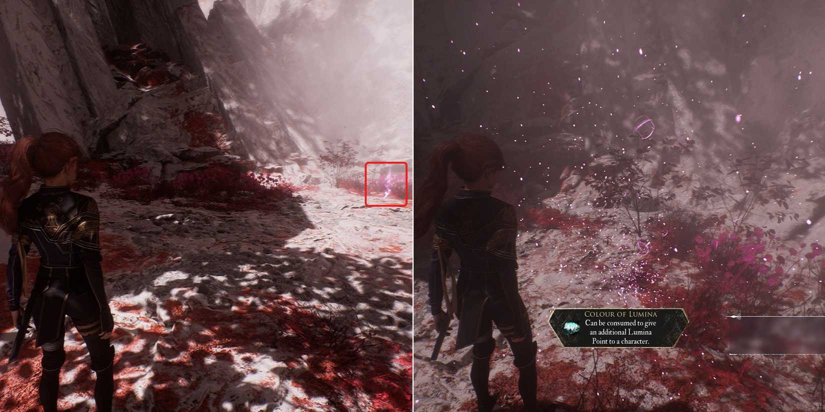 Crimson Forest 100% Collectibles Guide In Expedition 33