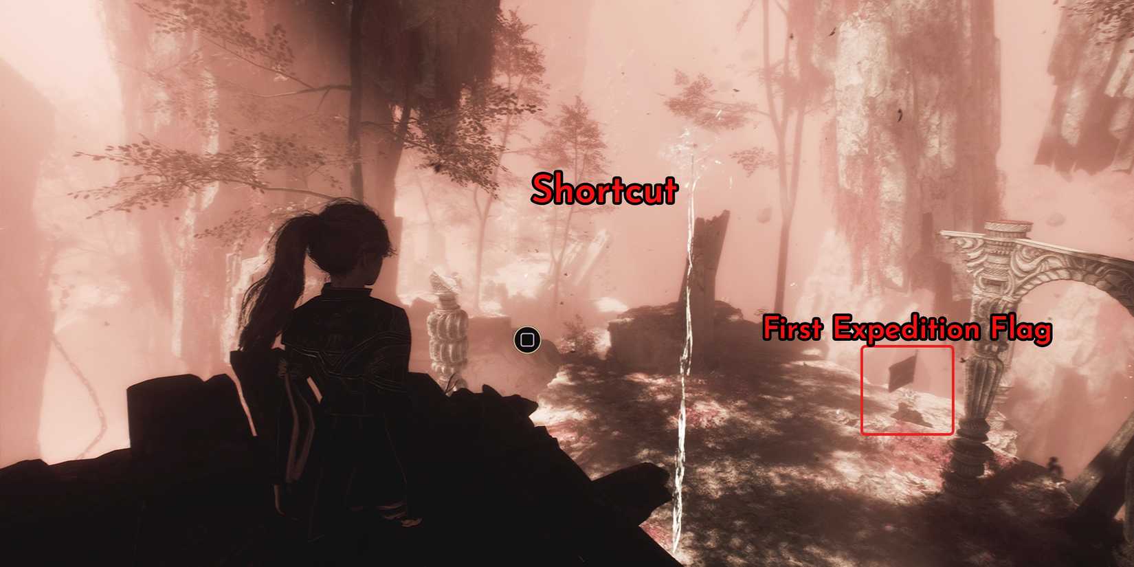 Crimson Forest 100% Collectibles Guide In Expedition 33