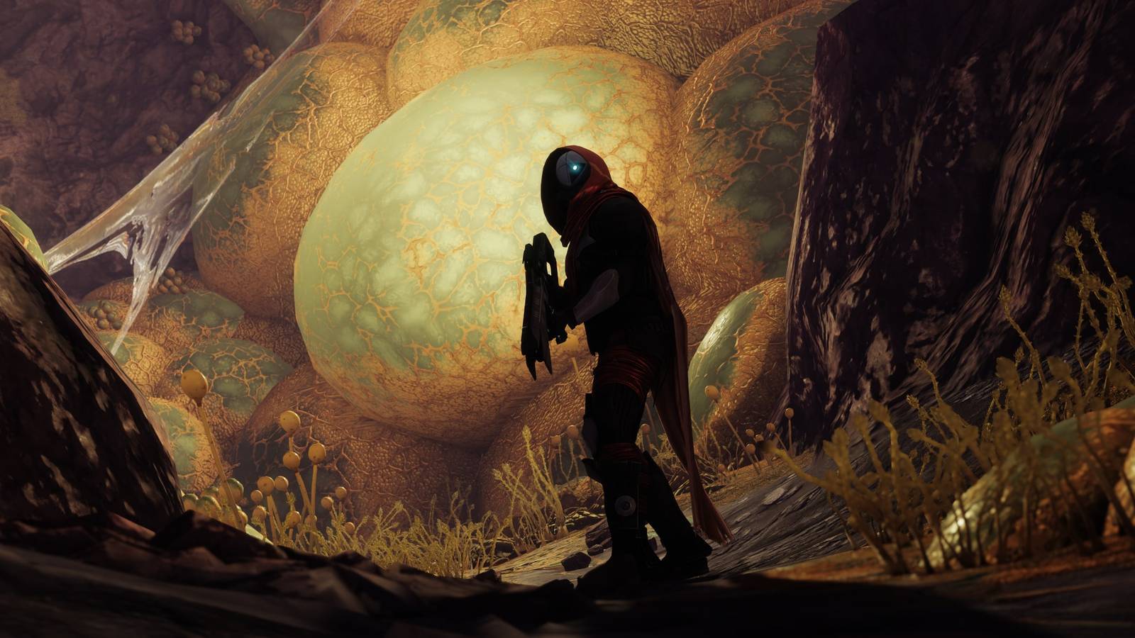 What to Expect From Destiny 2's The Edge of Fate