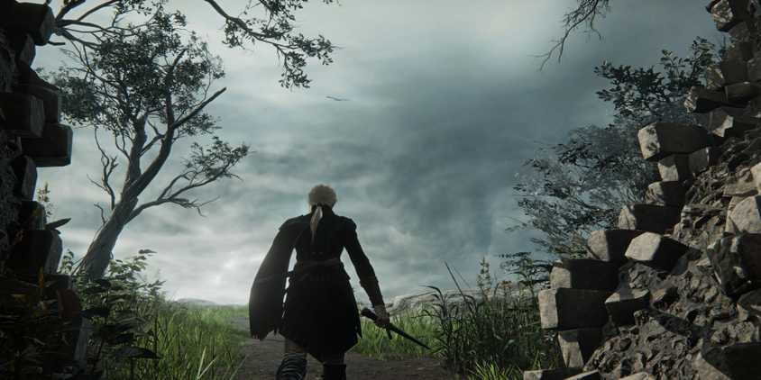 How To Get Every Elden Ring Nightreign Skin