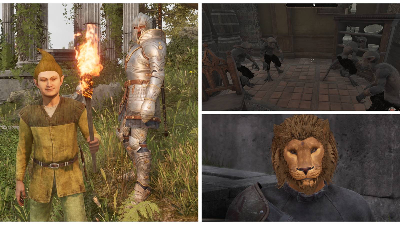 Best Followers in Oblivion Remastered