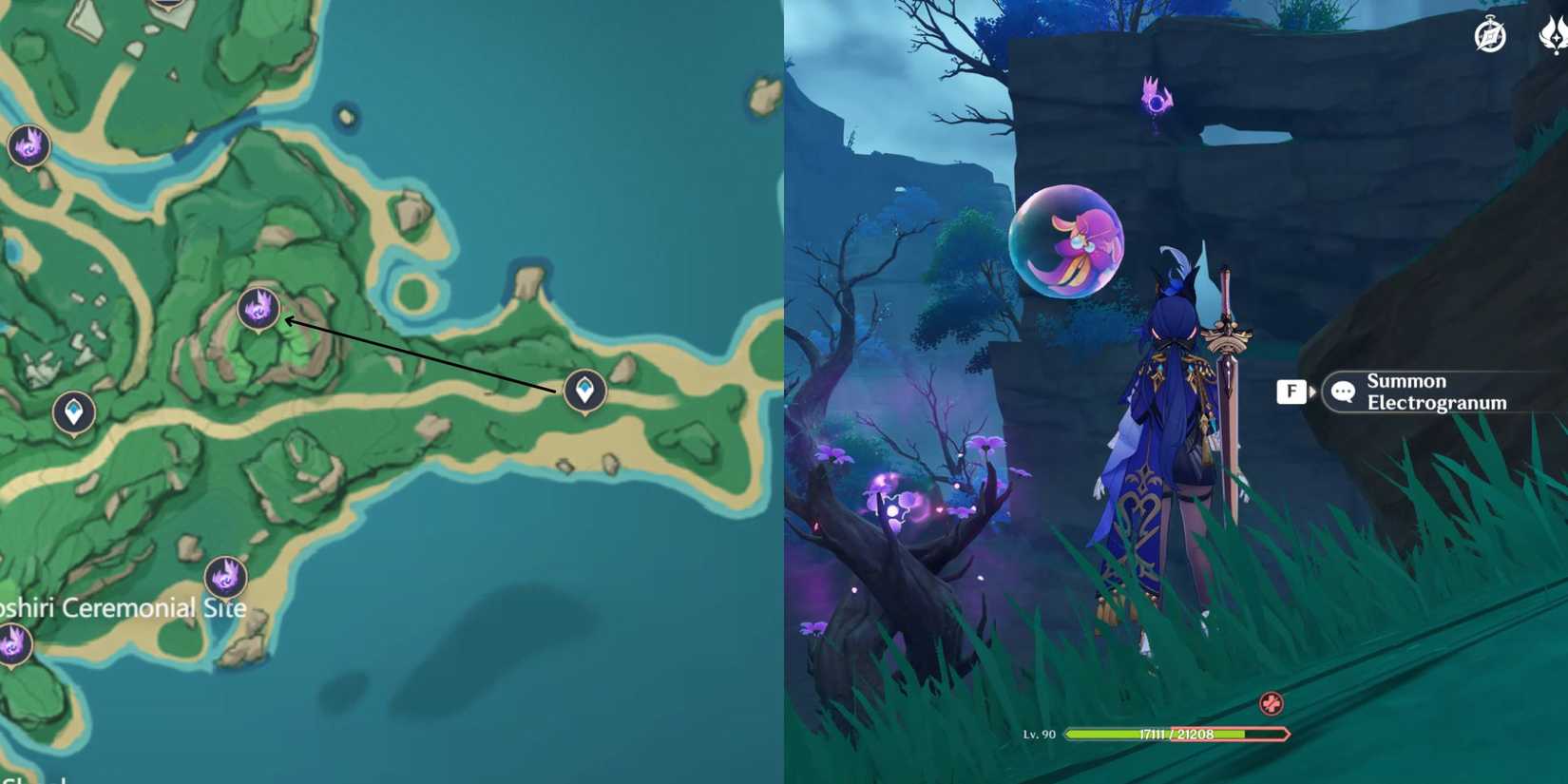 All Tsurumi Island Electroculus Locations