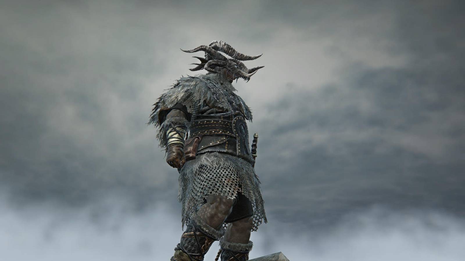 Elden Ring Nightreign: Raider Class Guide