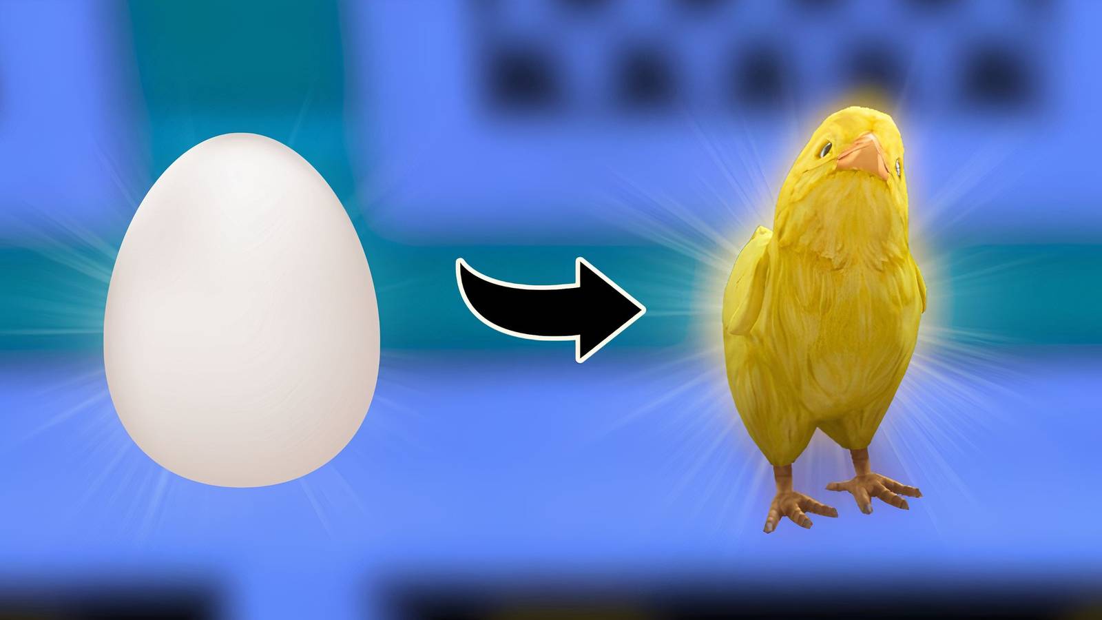 How to Hatch Eggs in The Sims 4
