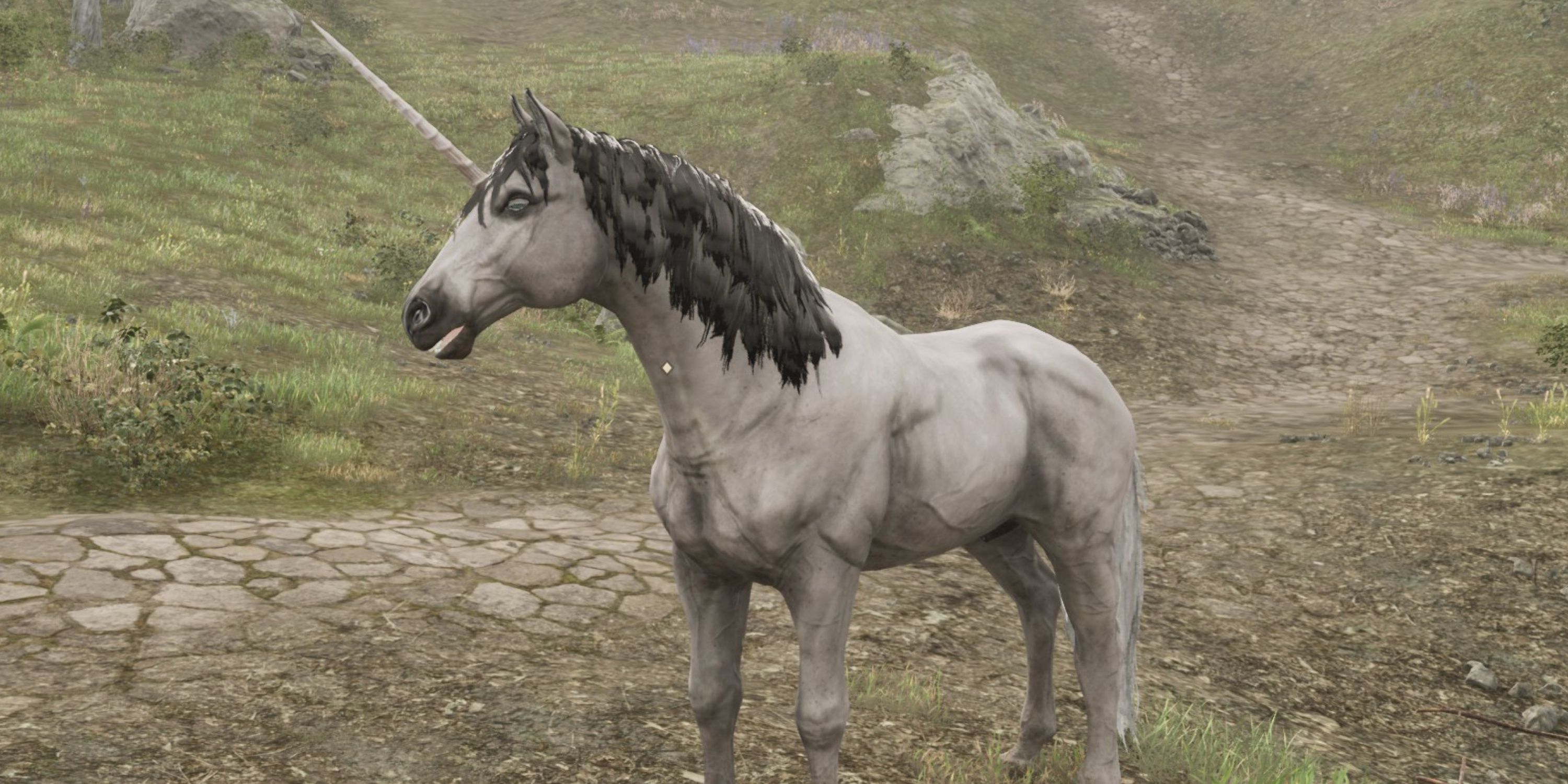 Oblivion Remastered: All Horses, Ranked - ValoSettings.com