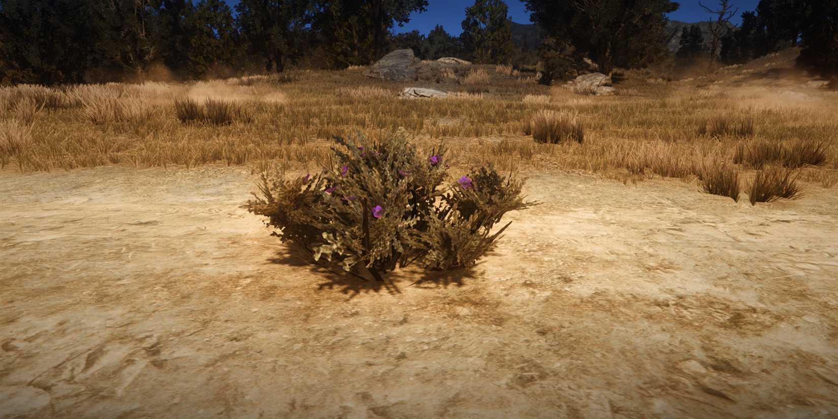 Survivalist Challenges in Red Dead Redemption