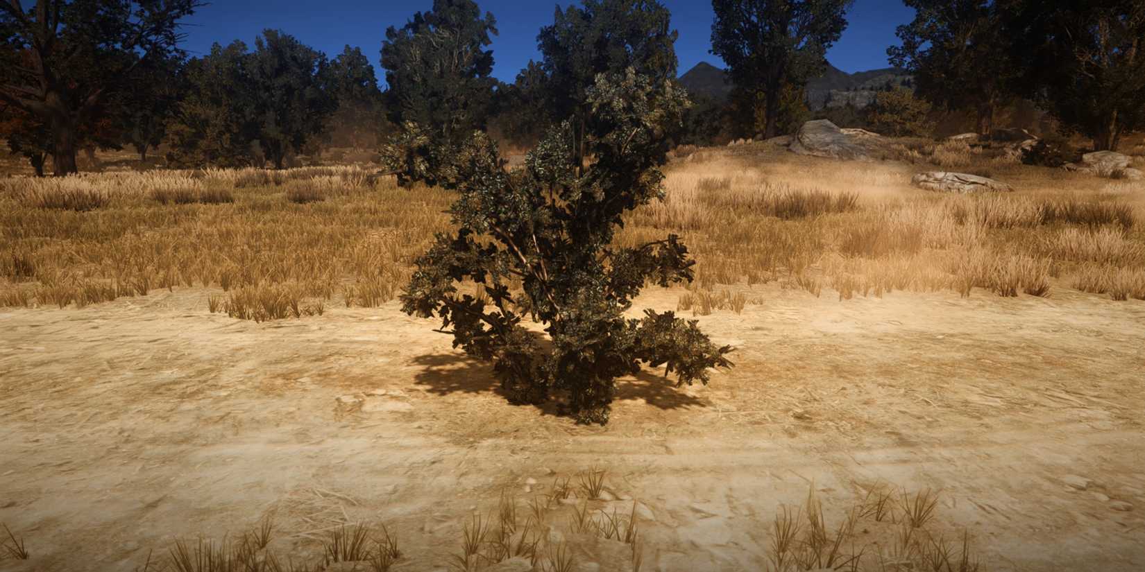 Survivalist Challenges in Red Dead Redemption