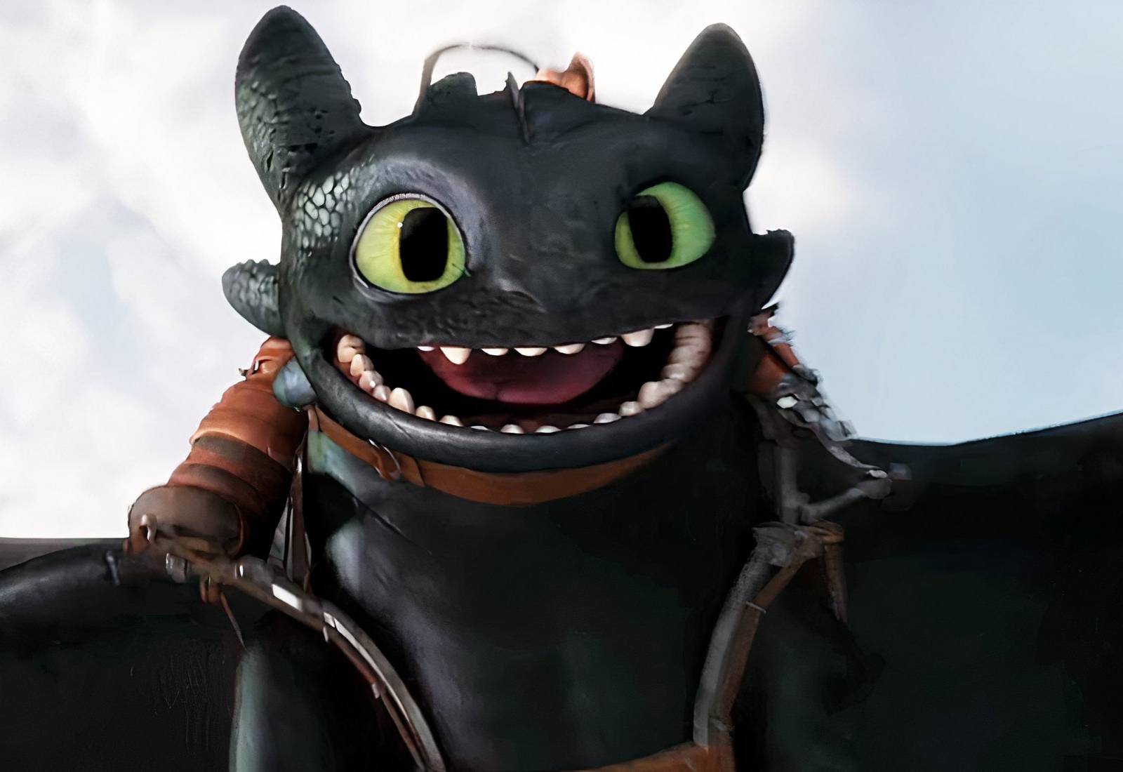 Toothless How To Train