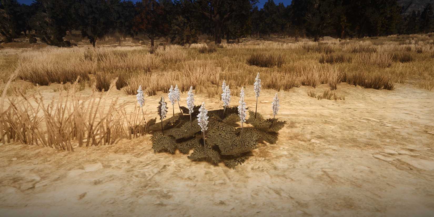 Survivalist Challenges in Red Dead Redemption