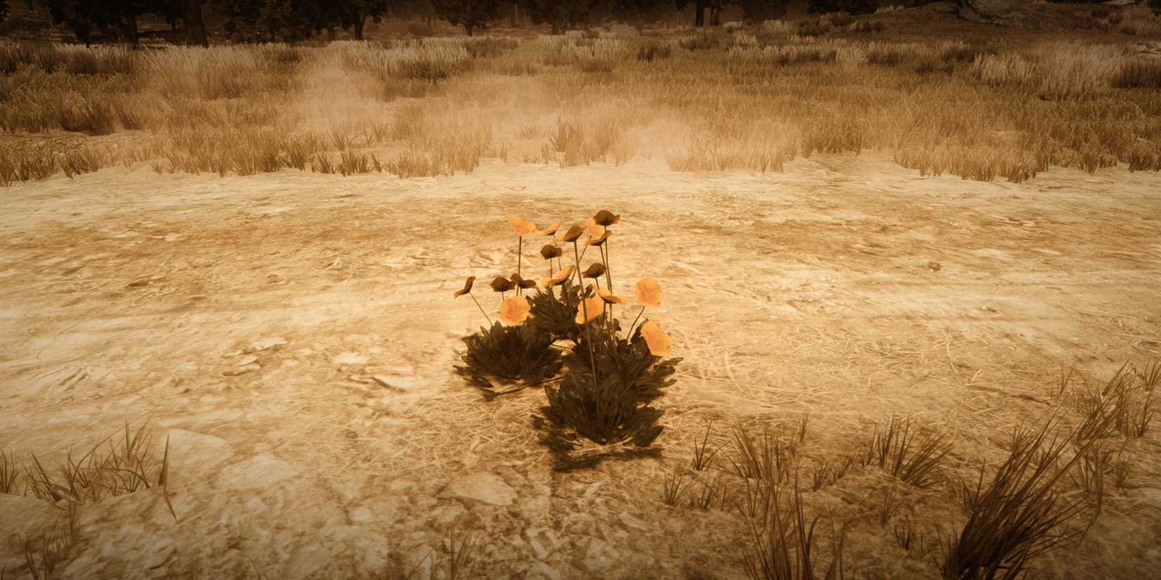 Survivalist Challenges in Red Dead Redemption