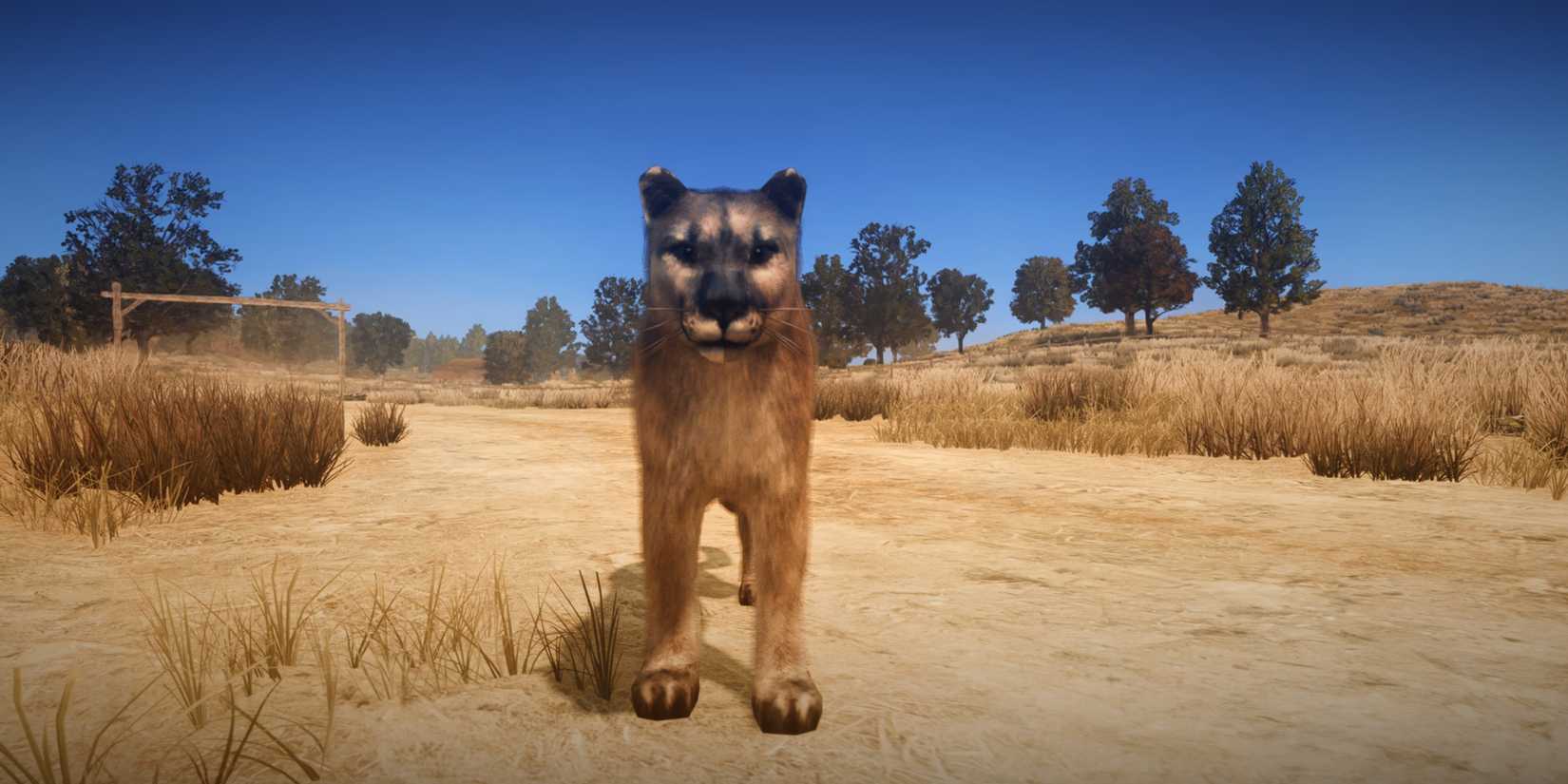 Master Hunter Challenges in Red Dead Redemption