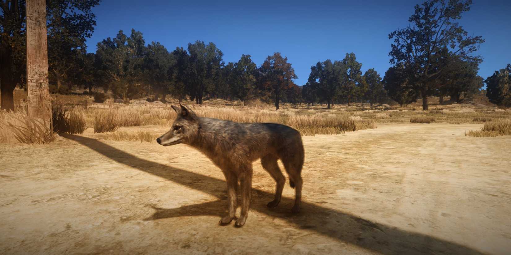 Master Hunter Challenges in Red Dead Redemption