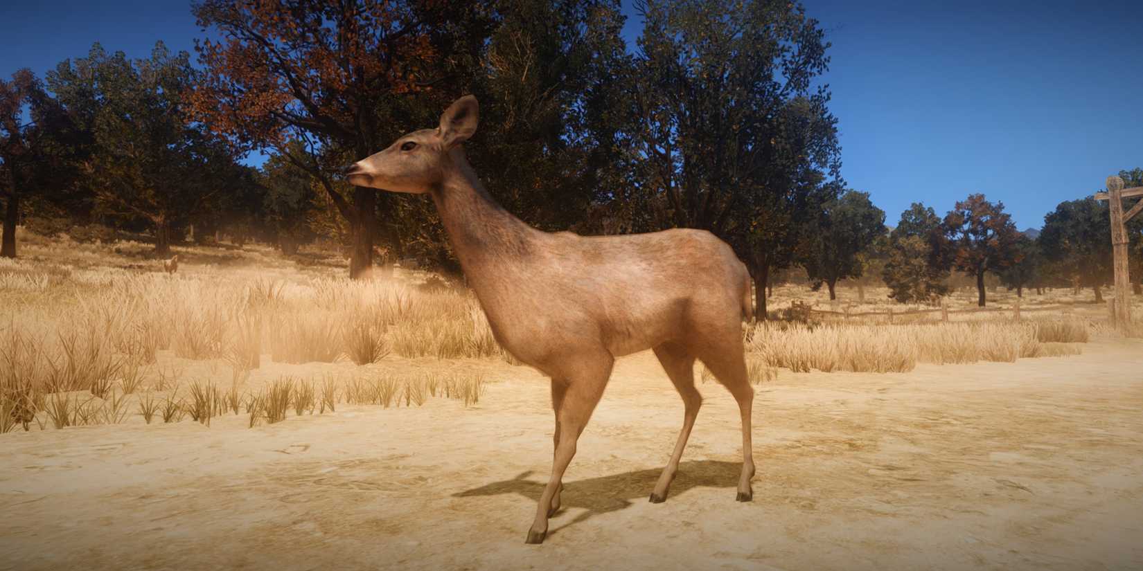 Master Hunter Challenges in Red Dead Redemption