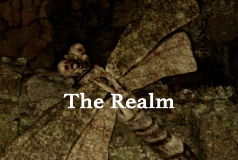 The Realm News, Trailer, Guides, and More