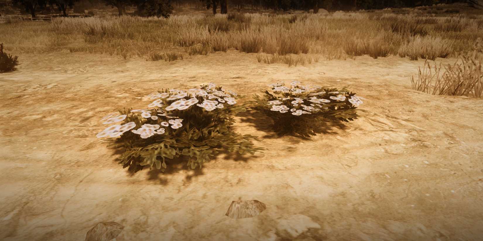 Survivalist Challenges in Red Dead Redemption