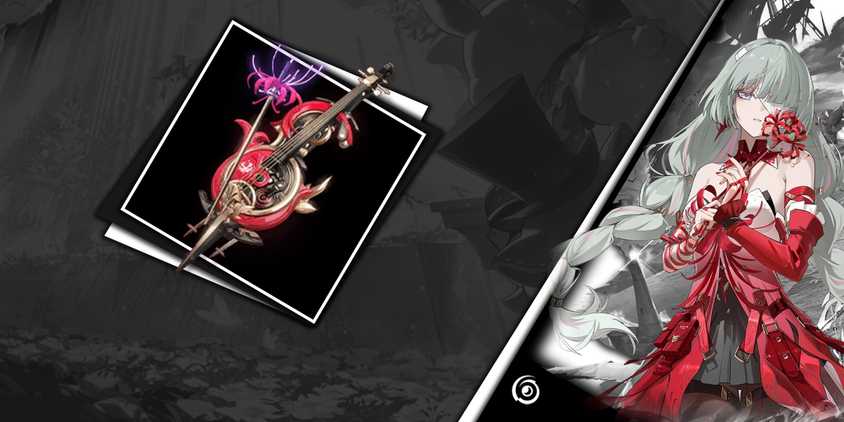 Zani Team Comp In Wuthering Waves