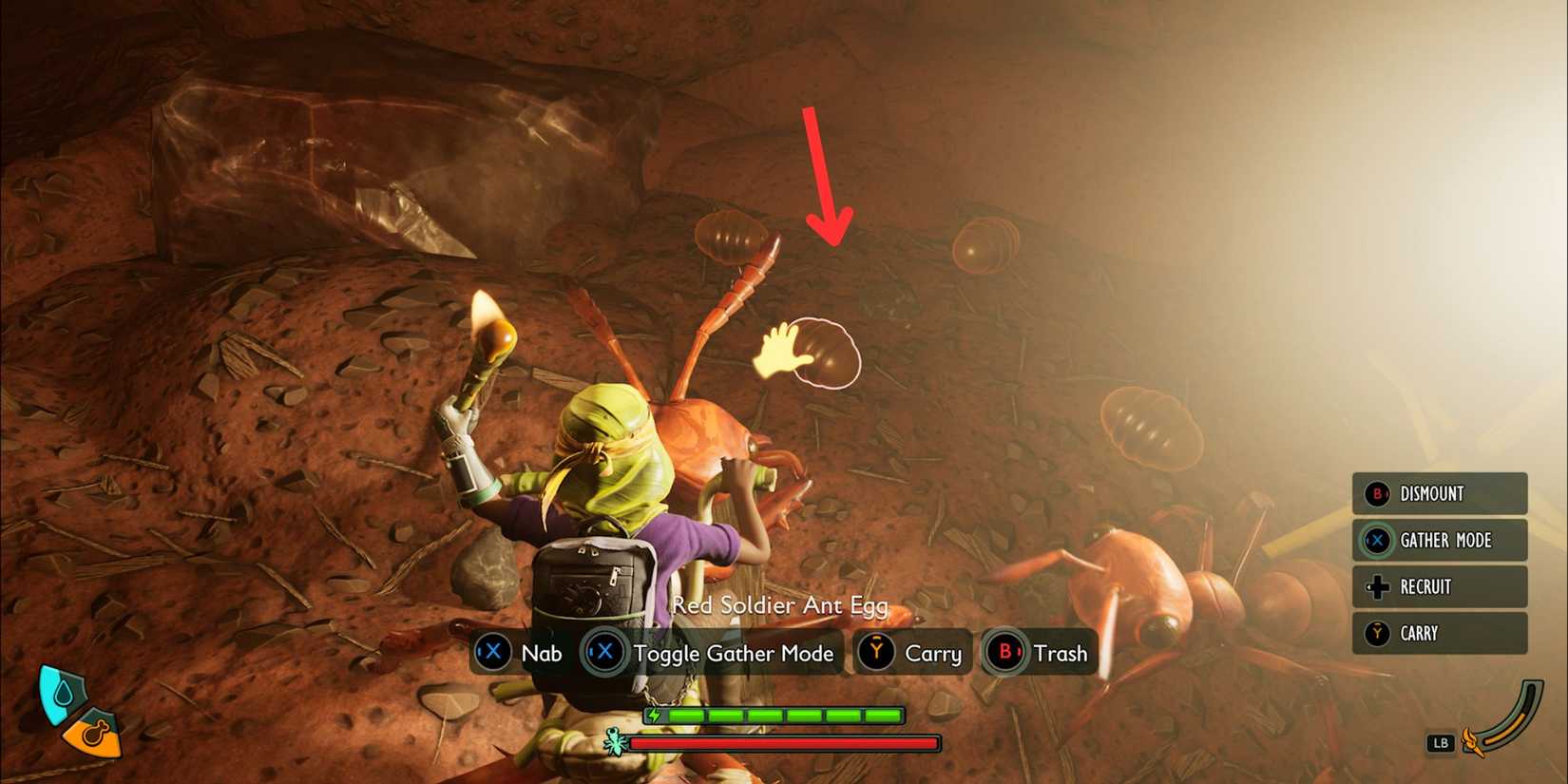 How to Get Red Soldier Ant Buggy and Make a Hatchery in Grounded 2