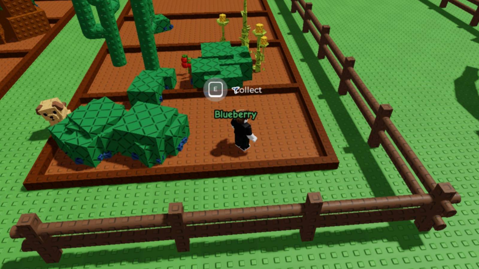 All Fence Skins & How to Get Them in Roblox Grow a Garden