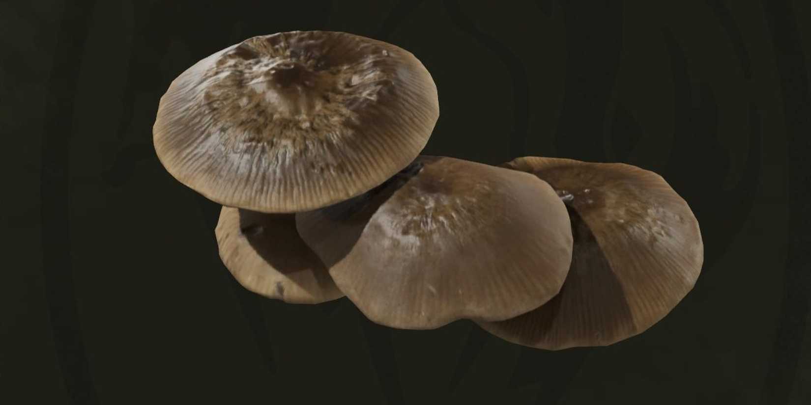 All Animals and Food Item Locations in MGS Delta Snake Eater