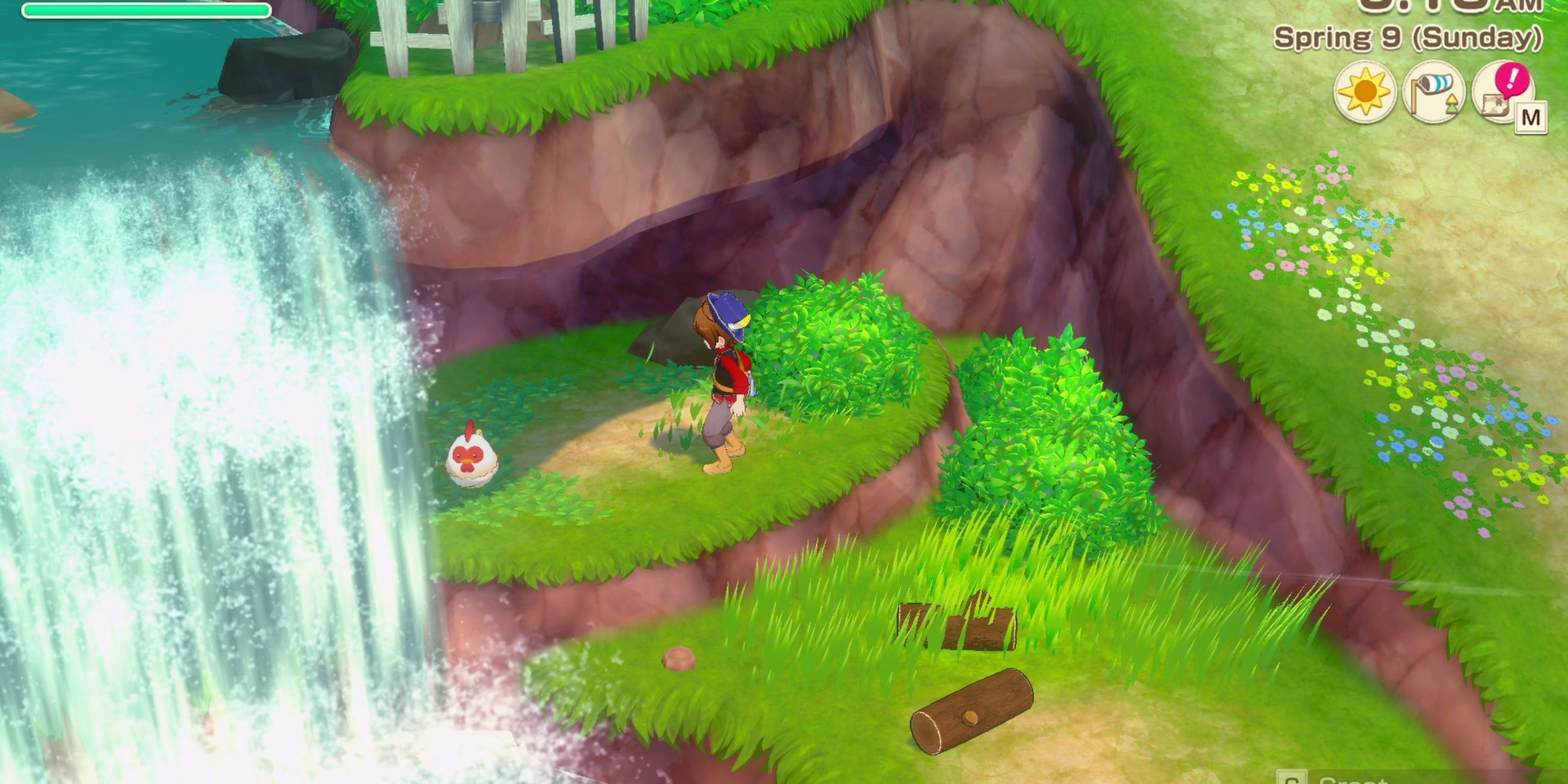 Where To Find Samir's Cat In Story Of Seasons: Grand Bazaar