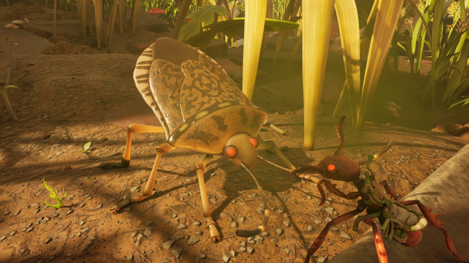 Where to Find Stinkbugs in Grounded 2