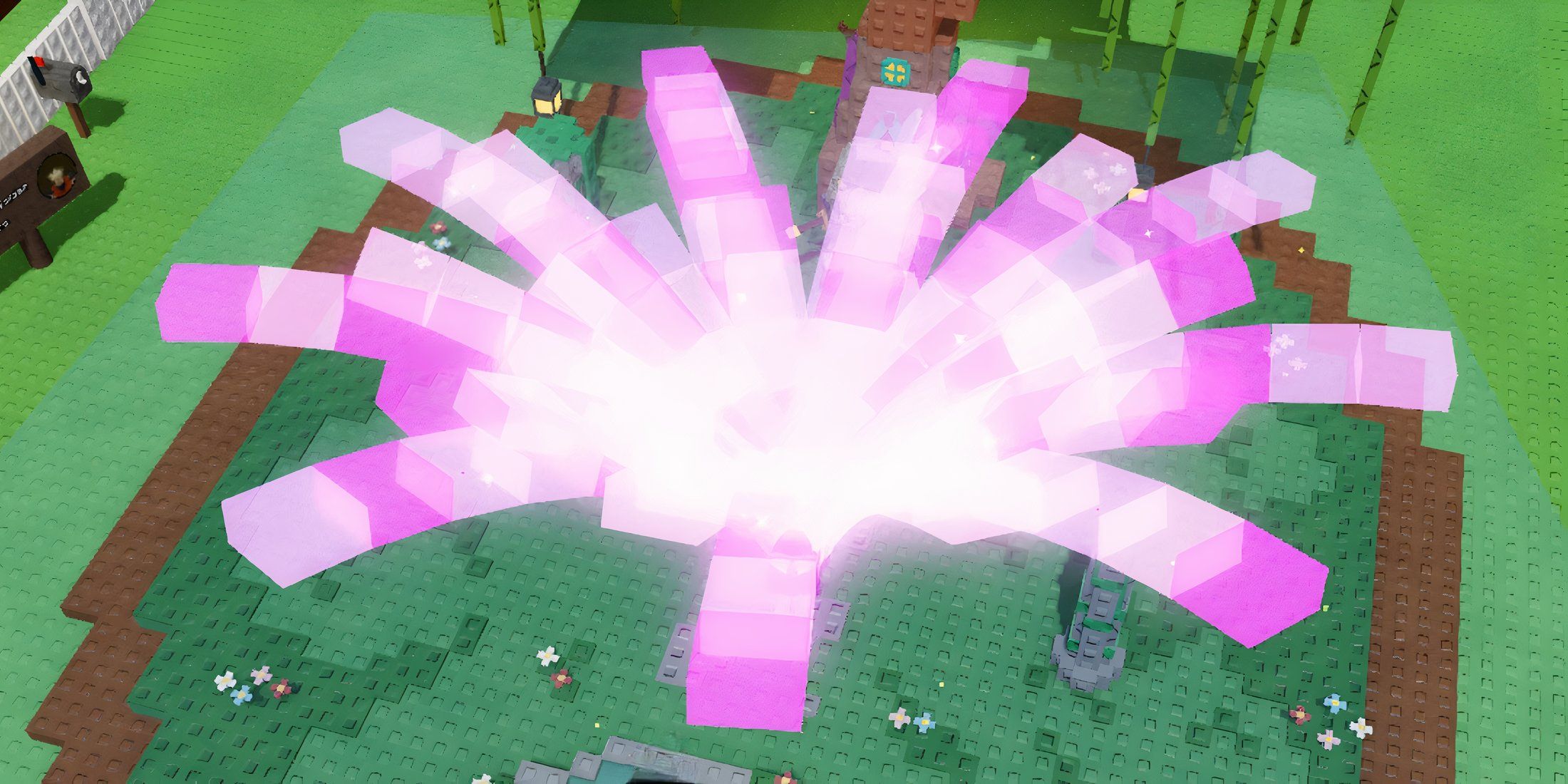 Full List Of Plant Types To Trigger The Fall Bloom For The Fall Market ...