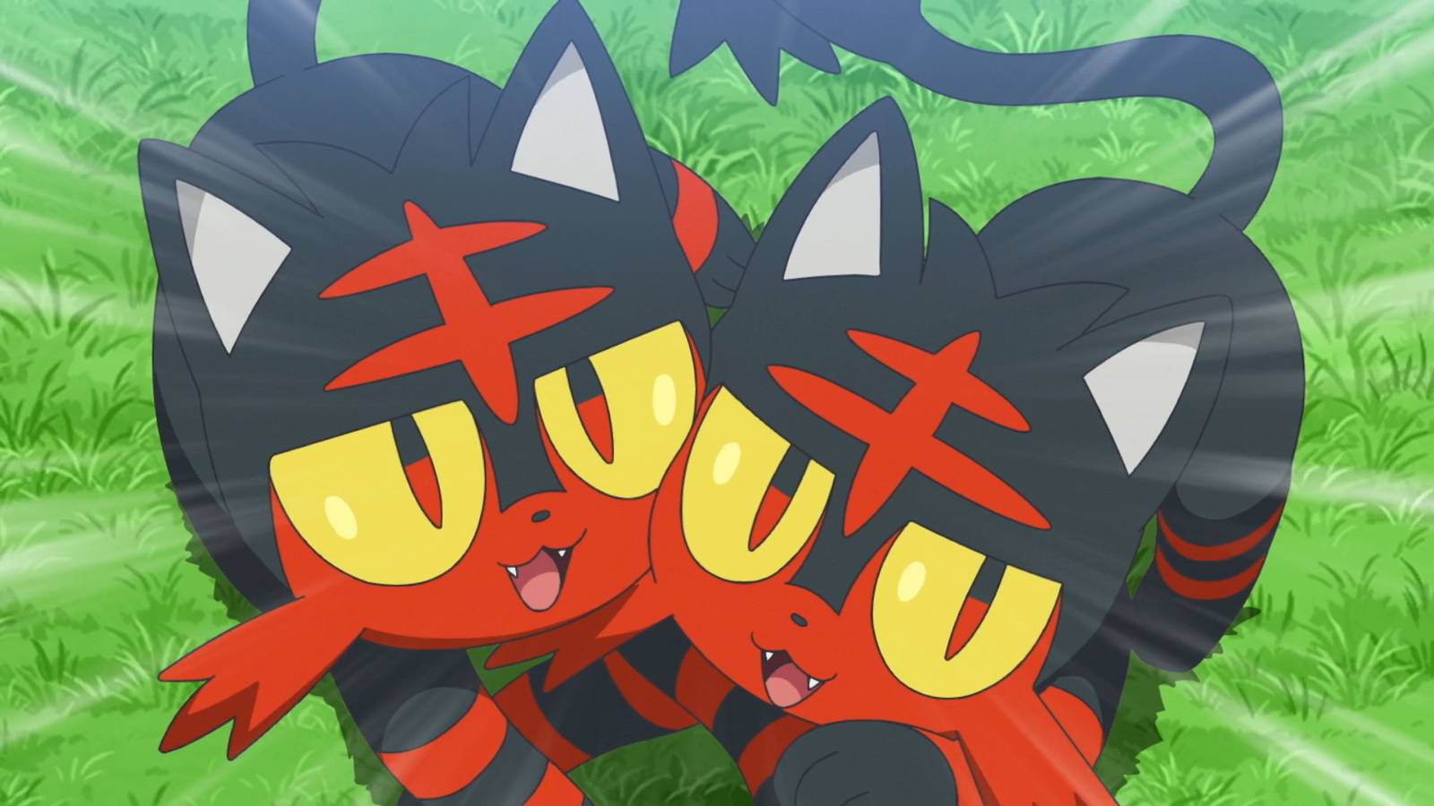 New Litten Pokemon Build-a-Bear Revealed
