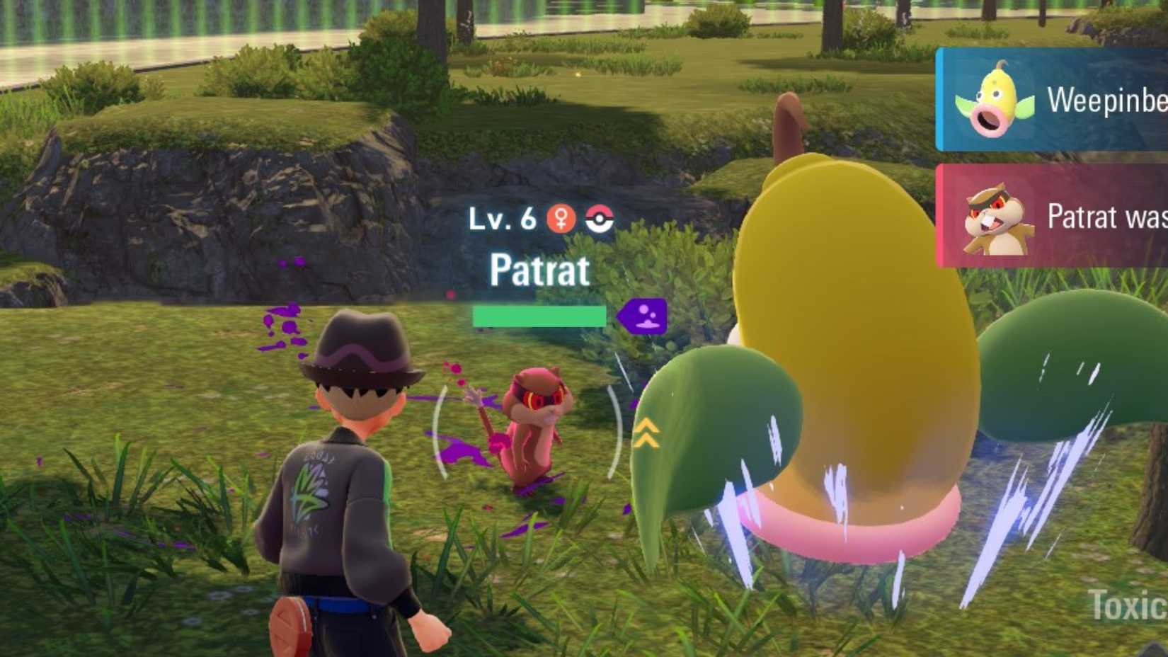 How to Cure All Status Effects in Pokemon Legends: Z-A