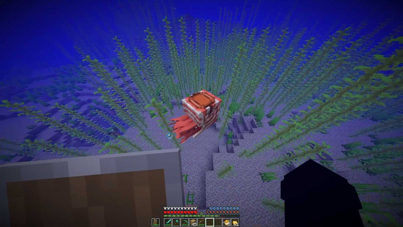 Minecraft: How to Tame Nautilus
