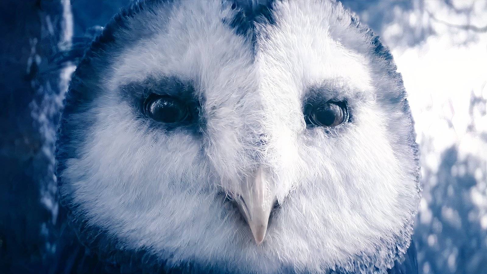 New MTG Powerhouse Is Already Included in Multiple Formats — And It’s ...