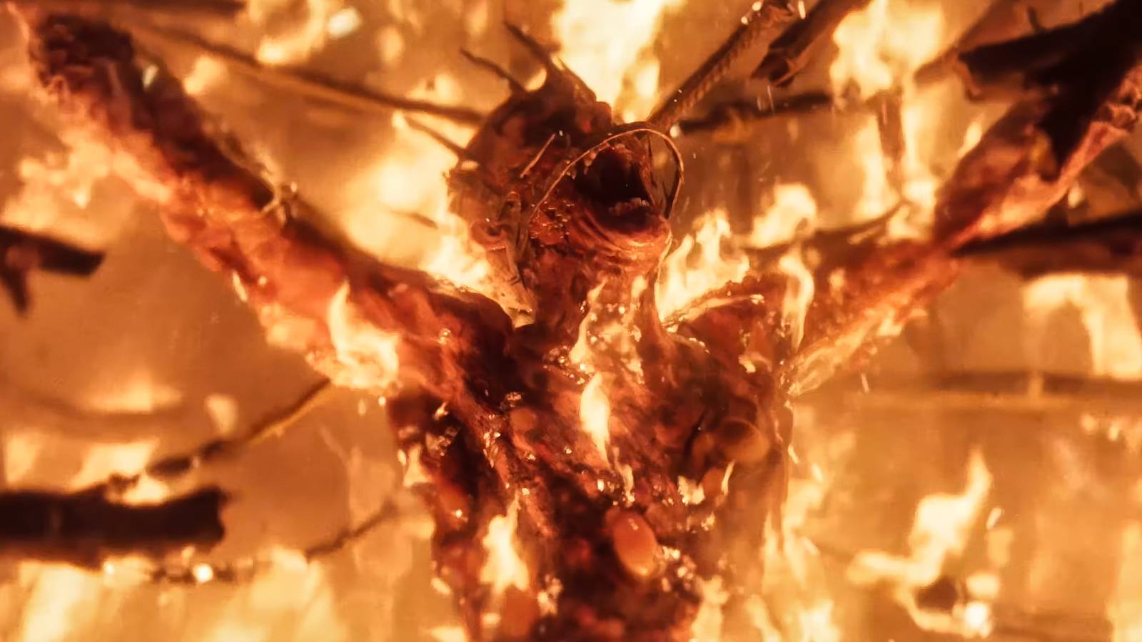 Larian's Next Game is Divinity and It's Going to Be Even Bigger Than ...